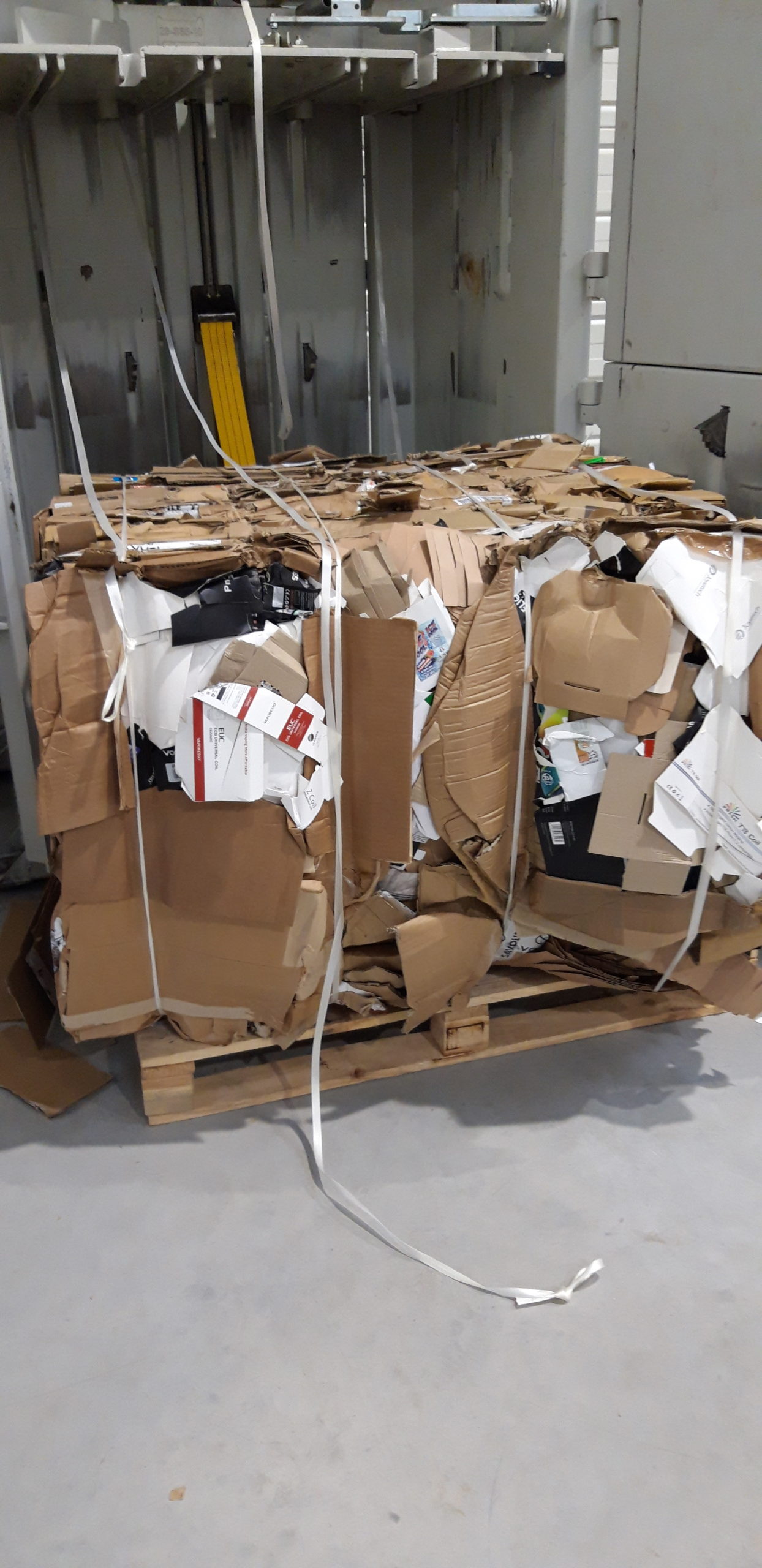 Presse à balles pour CARTONS et PLASTIQUES